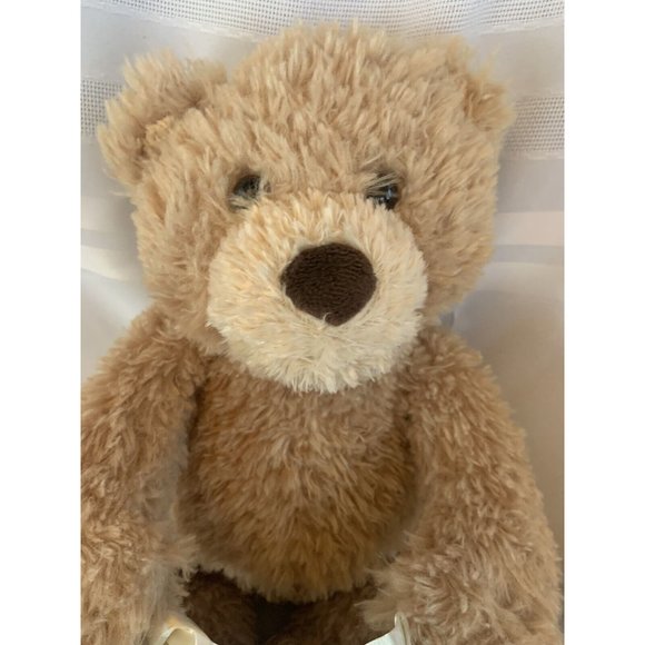 Gund | Toys | Baby Gund Peekaboo Animated Stuffed Vintage Bear Stuffed ...